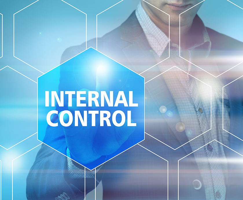 Internal Control Process and Procedures Internal Control Process and Procedures
